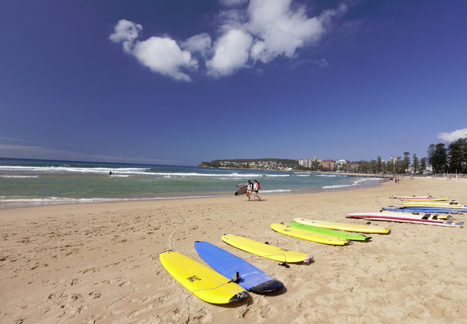 Manly Surfboards