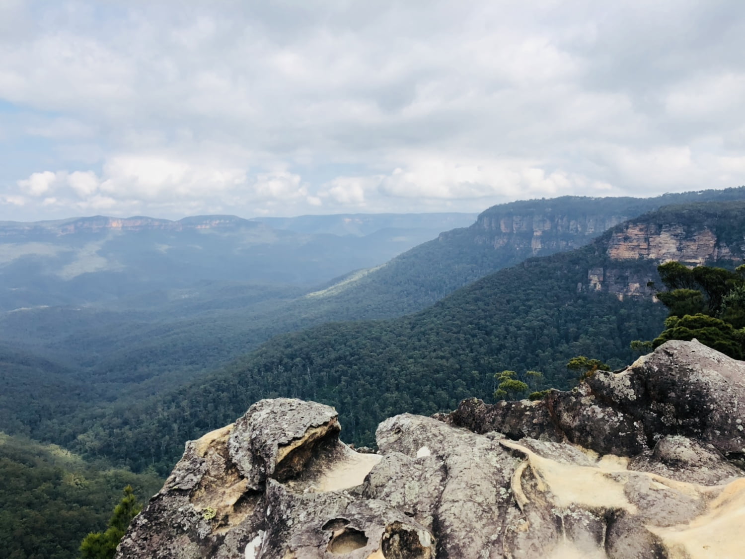 Things to do in Manly - Blue Mountains Day Trip from Manly with Oz ...