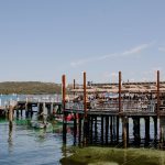 Felons Brewing Co Manly