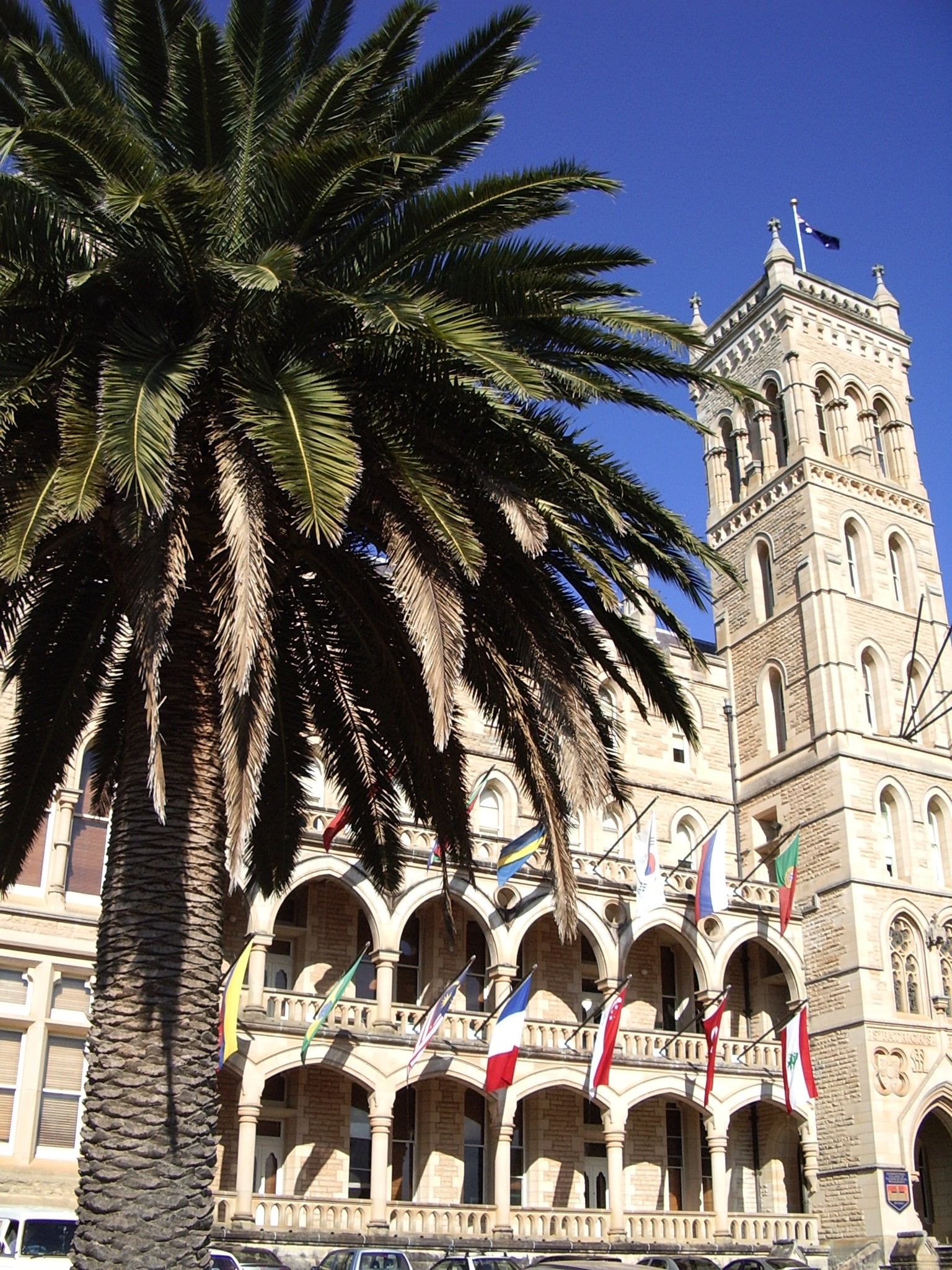 Things to Do in Manly and the Northern Beaches - Hello Manly