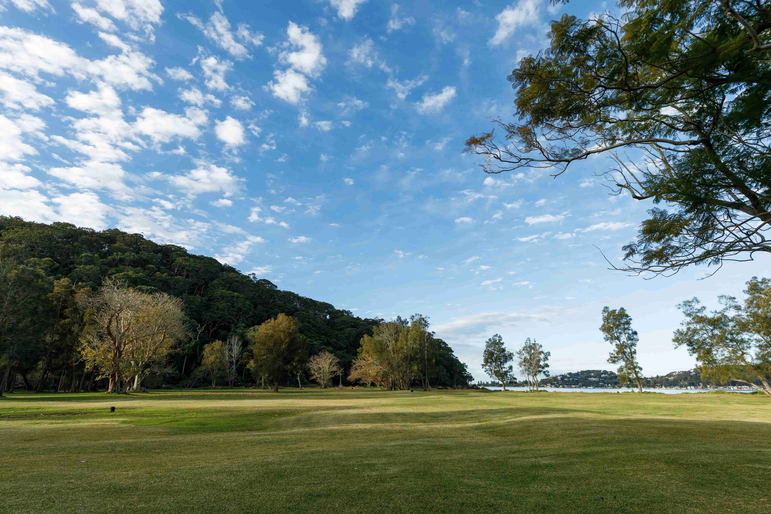 Currawong Beach Cottages - Hello Manly
