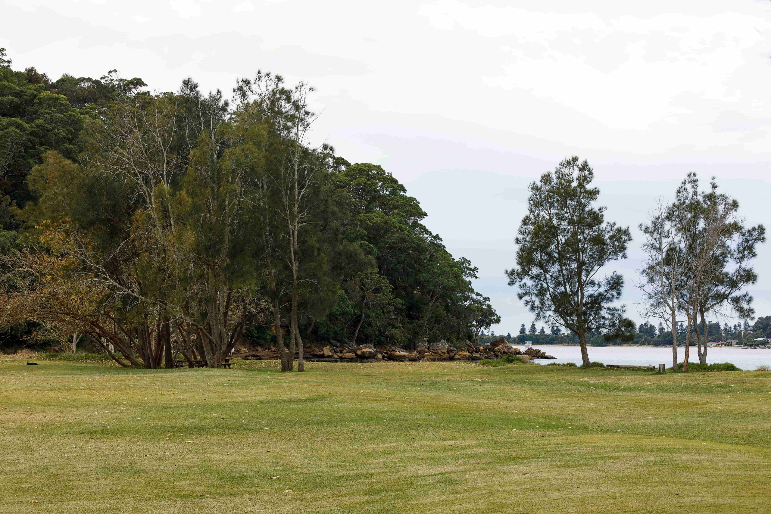 Currawong Beach Cottages - Hello Manly