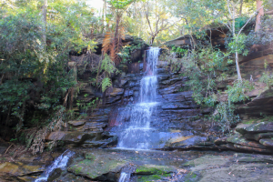 Things to do in Brookvale - Hello Manly