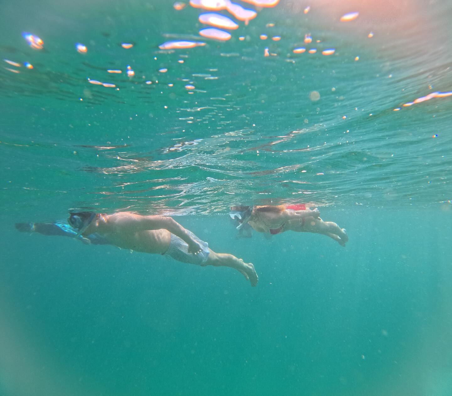 Snorkelling Shelly Beach - Hello Manly